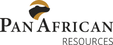 Gold Mining in South Africa – Pan African’s story of surviving and ...